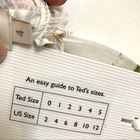 Ted Baker | Dresses | Ted Baker Andray Fortune Hummingbird Ruffle Dress ...